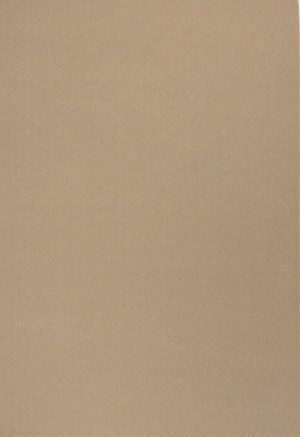 Freelife Merida - Textured Kraft 100gsm - WL Coller Ltd