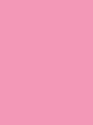 A4 Vanguard 300gsm Pink Card