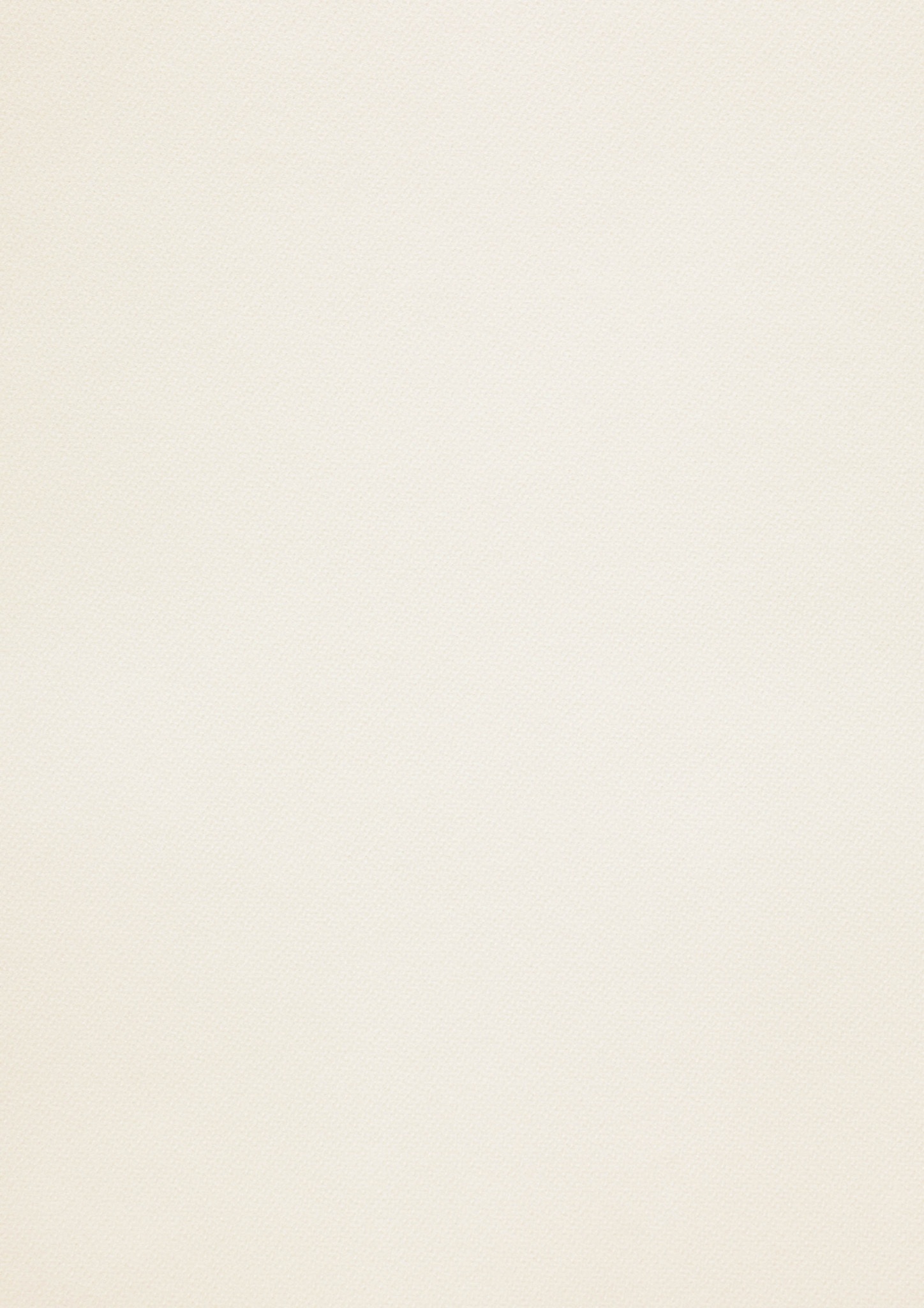 Rives Tweed Natural White Paper - WL Coller Ltd