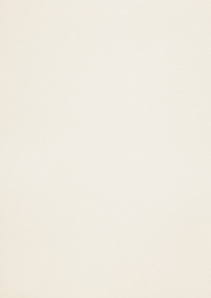 Rives Tweed Natural White Paper - WL Coller Ltd